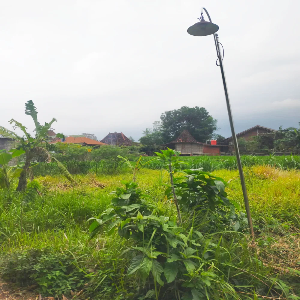 Tanah Dijual di Yogyakarta Dekat UNRIYO, UPN Veteran Yogyakart...