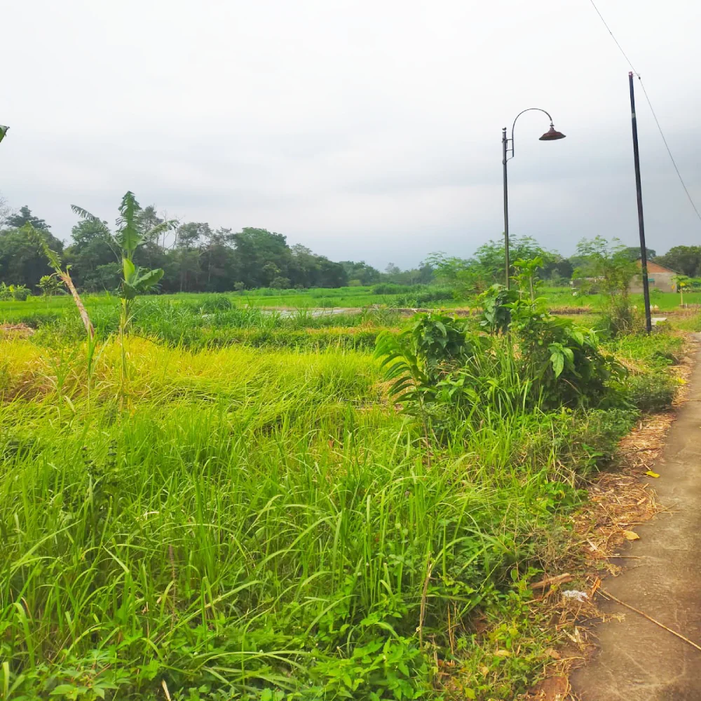 Tanah Dijual di Yogyakarta Dekat UNRIYO, UPN Veteran Yogyakart...
