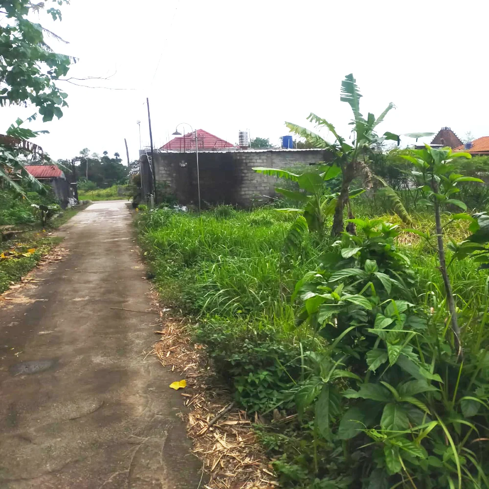 Tanah Dijual di Yogyakarta Dekat UNRIYO, UPN Veteran Yogyakart...